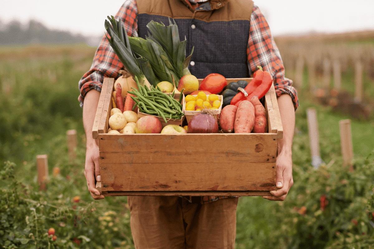 The Sweden recycle guide: Waste Sorting and Disposal - Career Sweden